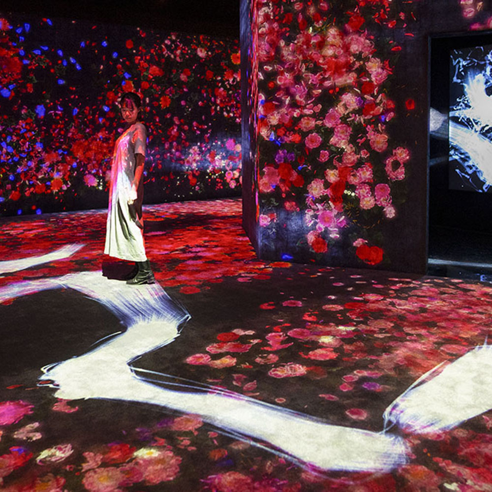AT A GLANCE: The Transformed Asian Art Museum Visitor Experience - About